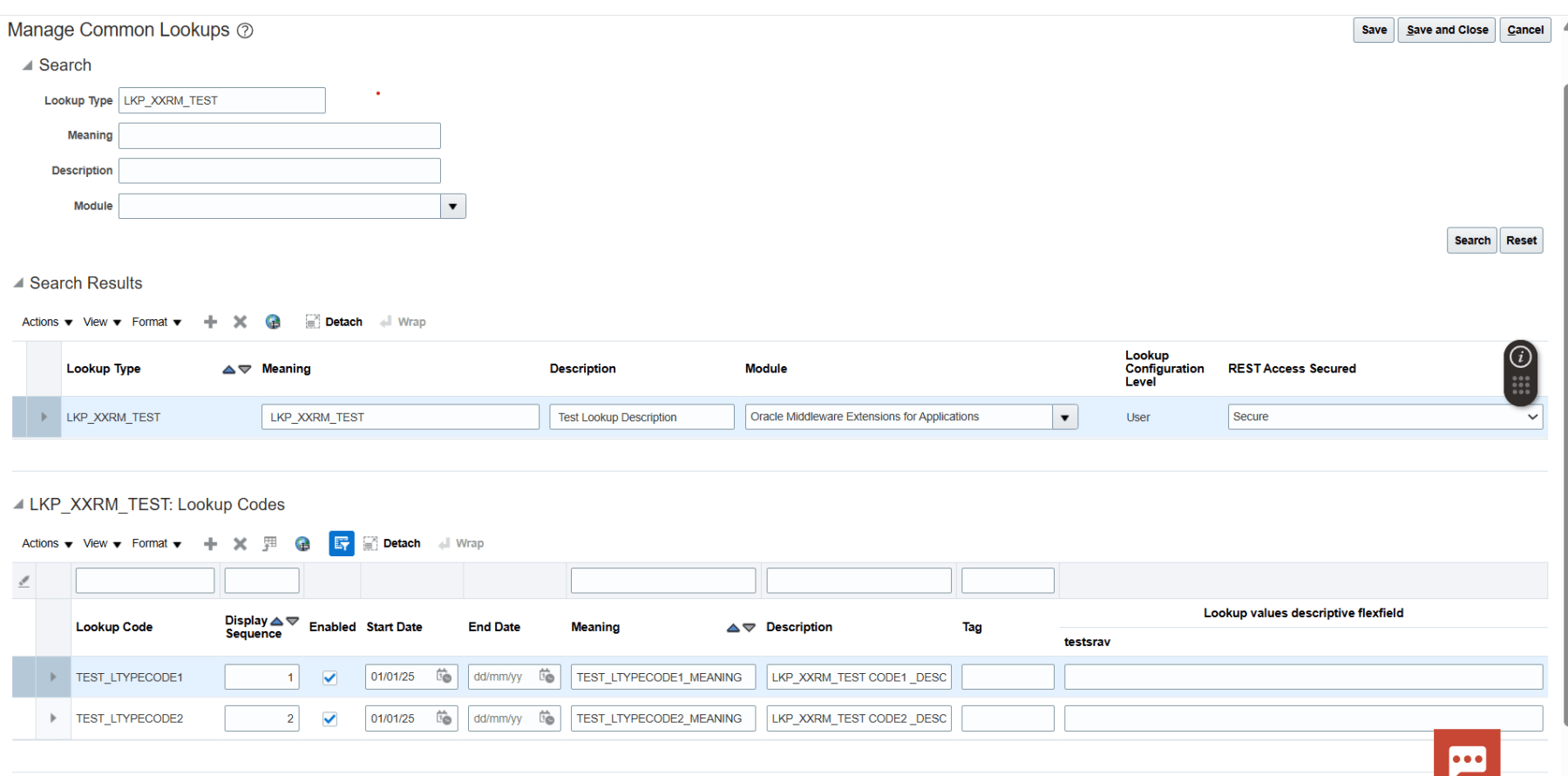 Bulk Upload Lookup Types and Lookup Codes in Oracle Fusion | RishOraDev ...